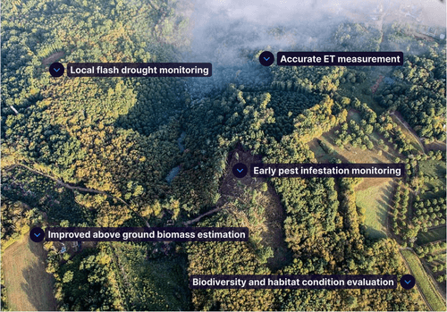 Forest Monitoring And Disaster Management Constellr
